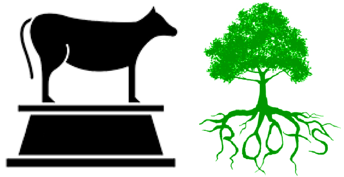 Israel's Rebellion Booster Packs & Display Boxes (w/ Roots Cards)